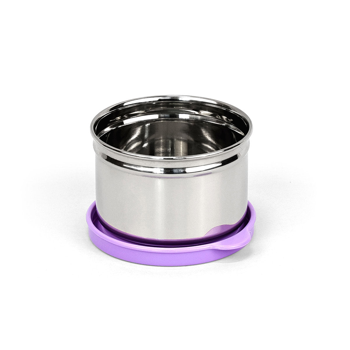 Mini Fresh Steel Big Container 170ml – Signoraware