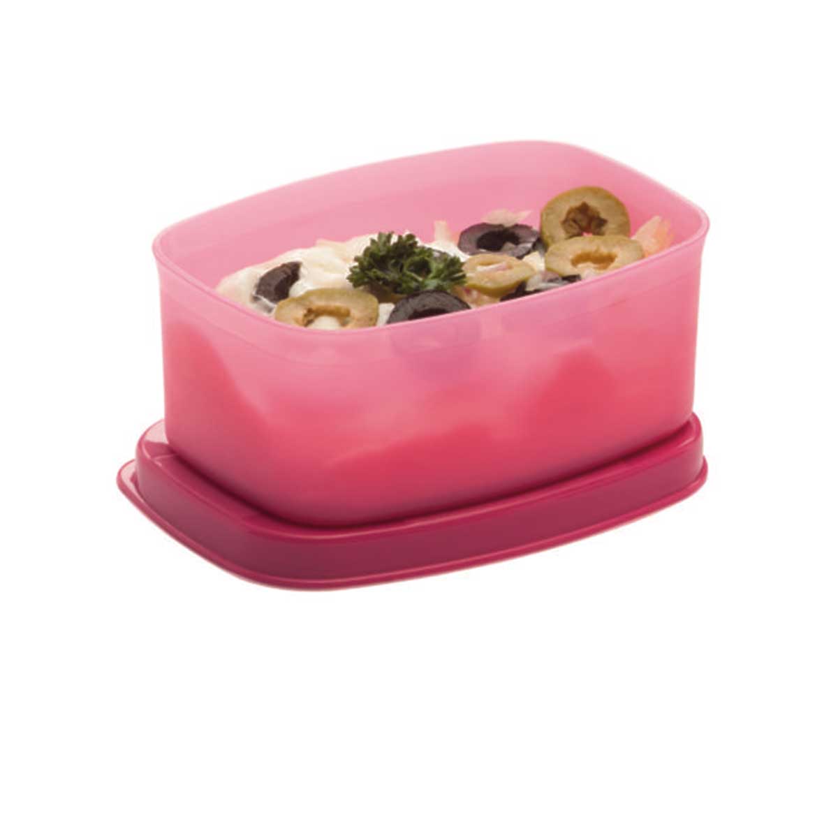 Cute Container (Set/4) | 100ml. each piece – Signoraware